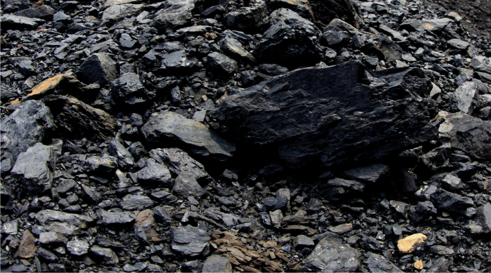 DTSA to start high CV coal production next year