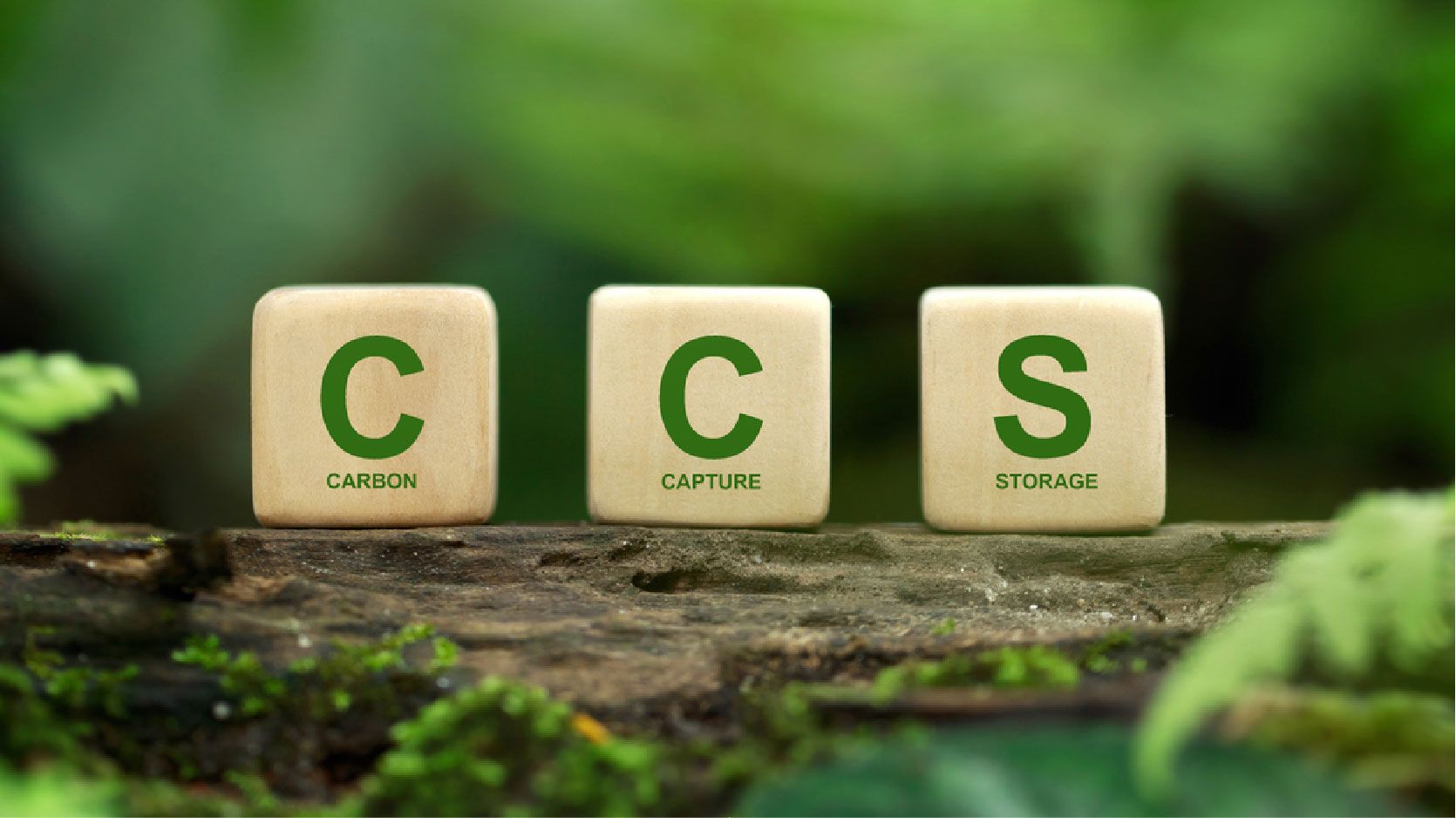 Regional CCS: Singapore selects gencos to conduct CCS FS for power ...