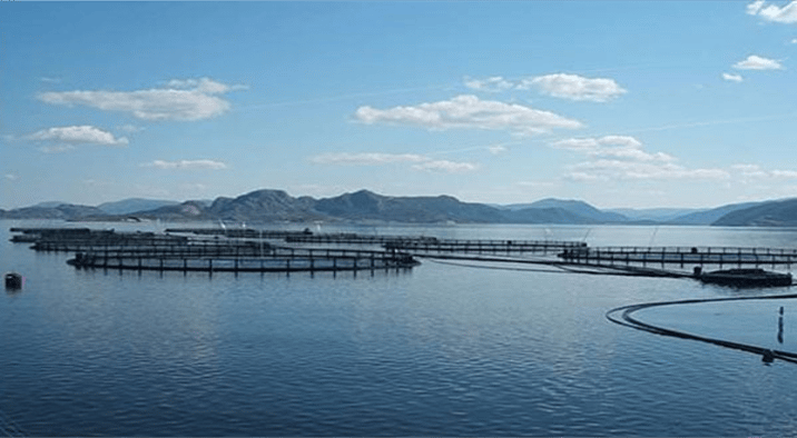 Waves4Power to build wave-based hydrogen plant in W. Java