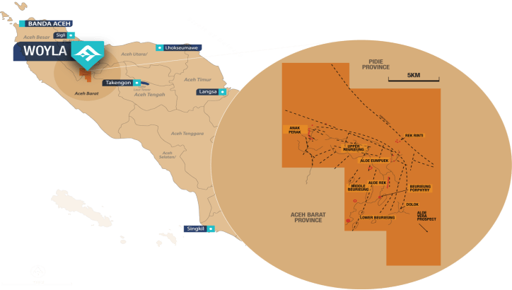 Additional assay results further confirm resource potential of Woyla ...